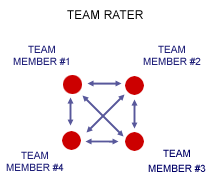 LearningBridge Team and Multi-Rater Survey Types
